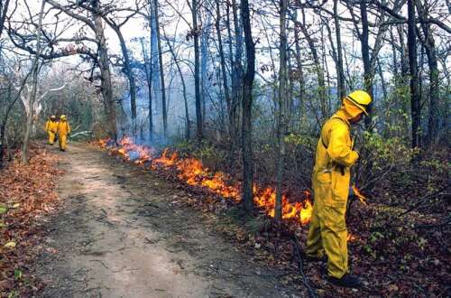 Lake County Forest Preserves now uses digital mapping