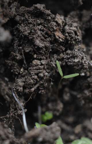 Virtual series to explore the world 'Under Our Feet'