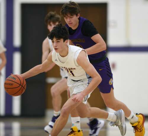 Cook boys basketball notes: Barrington, Meadows among teams with ...