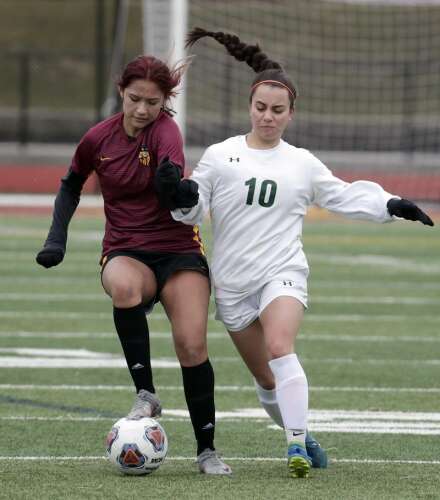 Girls soccer: Cook County All-Area Team