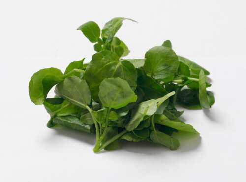 Your health: Watercress packs a nutritional punch