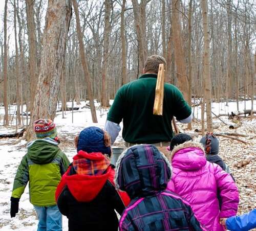Sample pure maple syrup at River Trail Nature Center festival