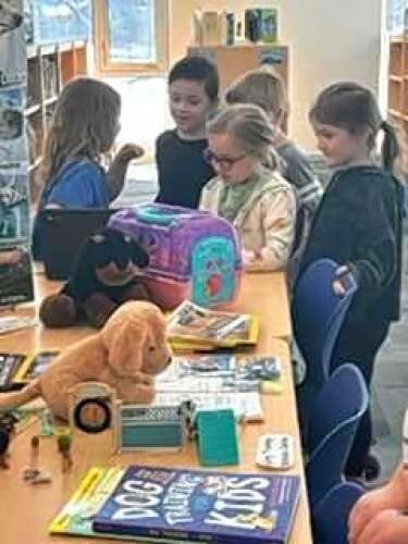 Project showcase fuels all-school learning at Grass Lake School
