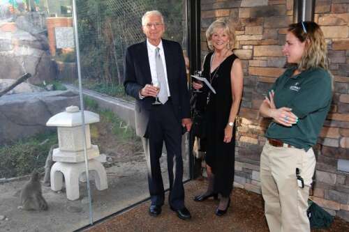 Alexian Brothers Foundation ball raises money for mental health services