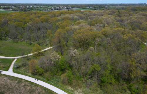 'Look and feel of those ancient forests': Lake County's St. Francis ...