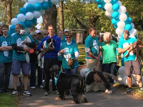 5K dog walk/fun run to support cancer awareness, veterinary outreach ...