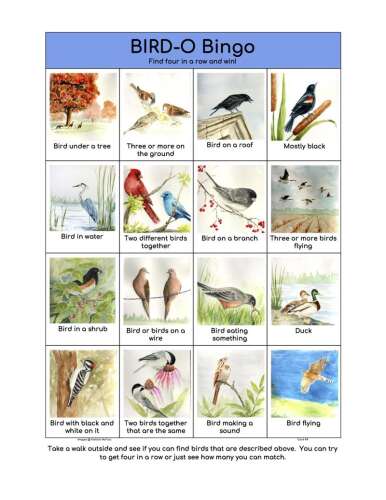 DuPage Birding Club offers tools, games for learning about birds