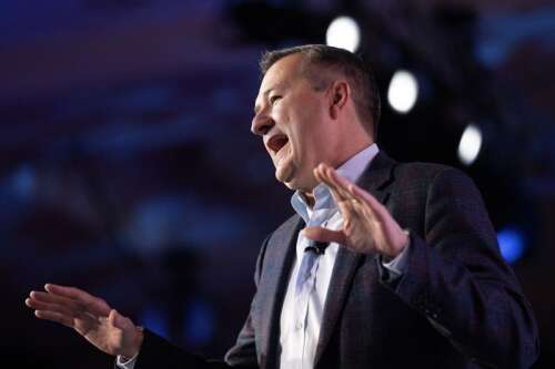 Ricketts siblings try hard to smooth over touchy subjects