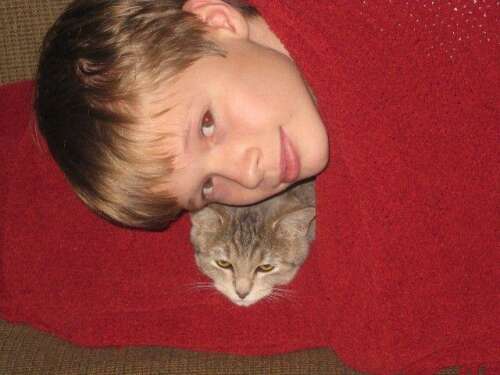 Petless for decades, home adds kitten