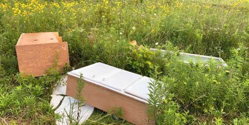 Forest Preserves of Cook County raises fines for fly dumping
