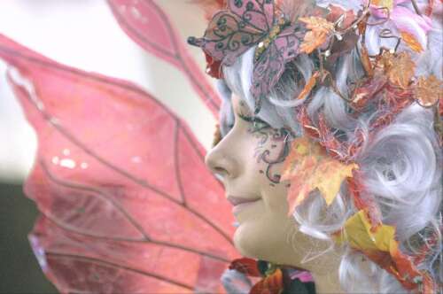 World of Faeries Festival a magical weekend