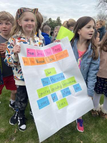 Sweetgum tree takes root as Arlington Heights celebrates Arbor Day