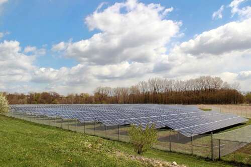 'Communities are all going green': How suburban governments are moving ...