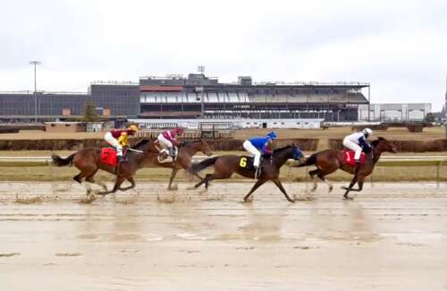 The Biz Week That Was: Bid to revive horse racing, a new Whole Foods ...