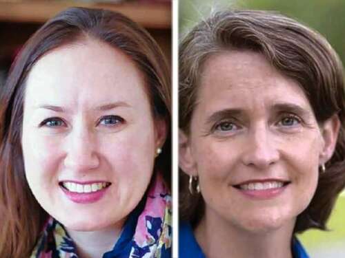 Suburban Cook's hot races: Heated state seats, school money questions