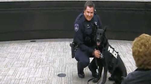 Mundelein's new police dog, Ranger, takes his first public bow