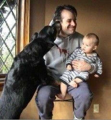 Wheaton filmmakers put suburbs on the big screen