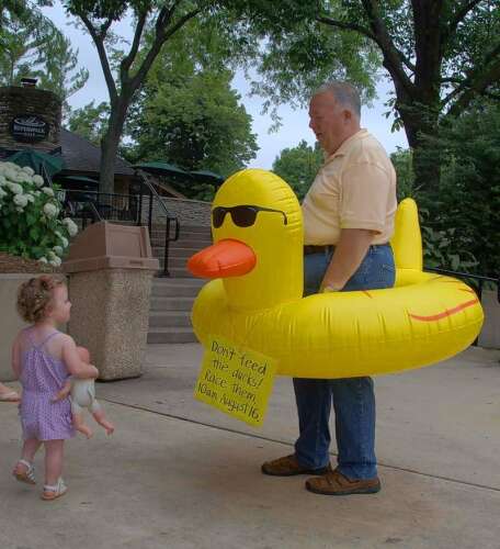 Feeling just ducky along Naperville's Riverwalk