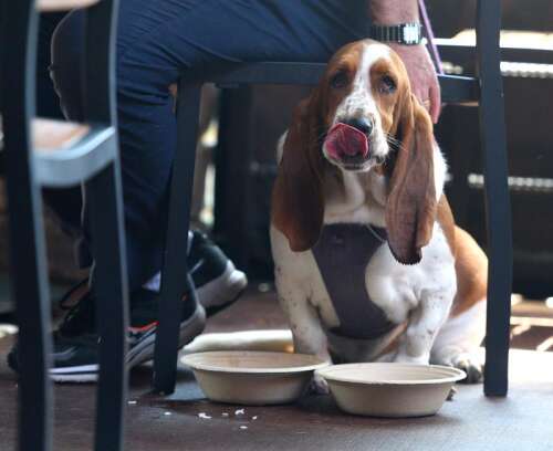 Dining out: New restaurants, July 4 specials and more