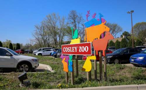 Wheaton's Cosley Zoo maintains accreditation