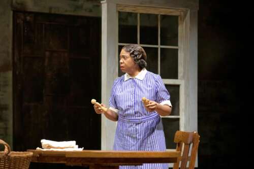 Stars align for Evanston resident Jacqueline Williams to perform in 'To ...