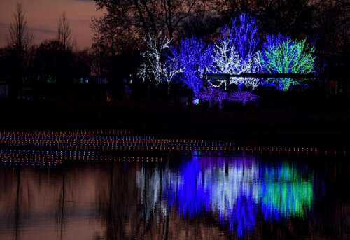 Morton Arboretum's 'Illumination' light show mixes trees with tech