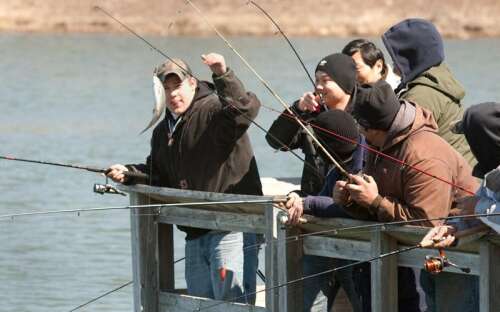 DuPage prepares for opening of trout season