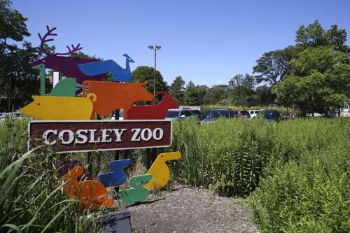 Park district: No taxpayer dollars will be spent to expand Cosley Zoo ...