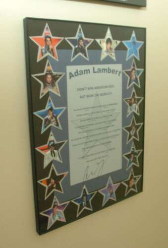 Addison career woman follows 'Idol' Lambert from town to town