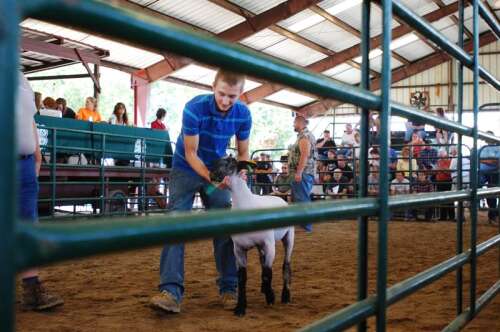 McHenry County Fair opens Wednesday