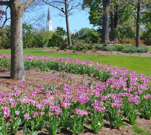Lombard names 'Hidden Gems of Lombard' photo contest winners
