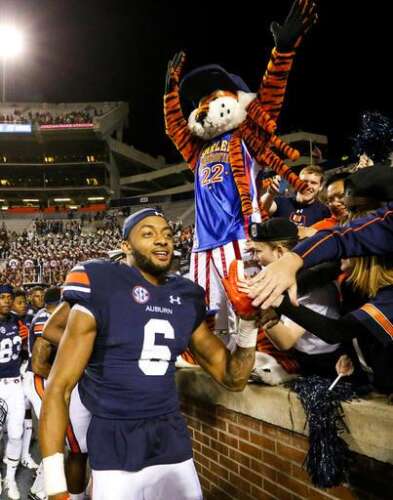 No. 15 Auburn Tigers on a tear since early struggles