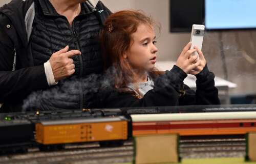 Turning out for trains: Hundreds take in exhibits at Roselle library