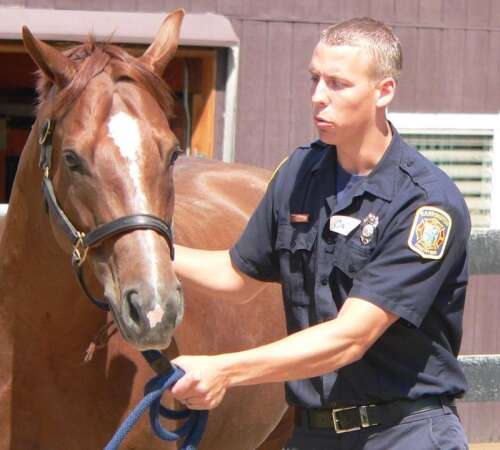 Barrington Countryside firefighters trained in horse-handling