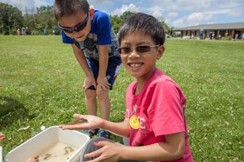 Bison, birds and bugs at Fermilab's Family Outdoor Fair June 12