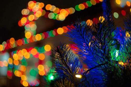 Holiday festivals: Cosley Zoo Festival of Lights, tree lightings and more