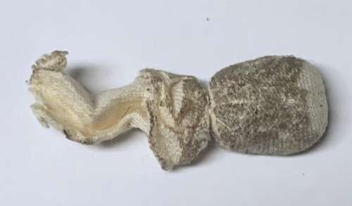 Bean bag shotguns provide alternative to lethal force for Round Lake ...