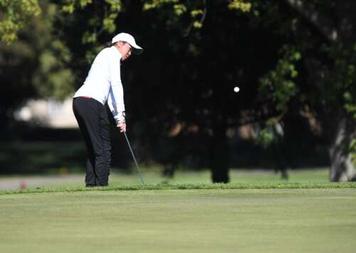 Girls golf: Scouting Cook County and Lake County