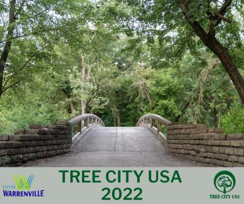 Arbor Day Foundation names Warrenville a 2022 Tree City USA