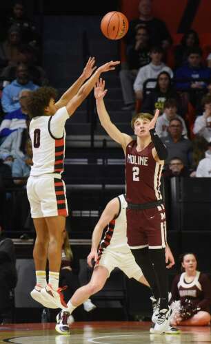 DuPage County All-Area Boys Basketball Team