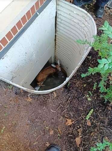 Good News Sunday: After 25 years, Lazarus House continues to expand to ...