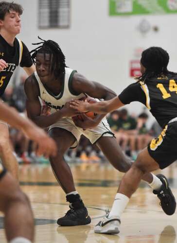 Fox, DuPage boys basketball notes: Waubonsie Valley continuing perfect ...