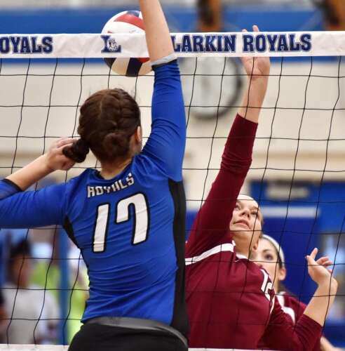 Girls volleyball: Larkin puts away Elgin