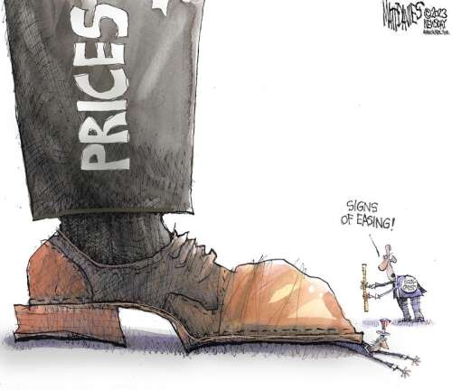 ?uuid=F6C1DF56-8905-43F6-9878-CA944BEC8199&function=fit&type=preview