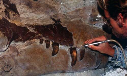 Dinosaur documentary digs into finding Sue - and serving time