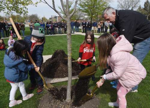 Palatine celebrates Arbor Day with planting of an American hornbeam tree