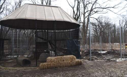 A new home for Rocky: Work underway on larger enclosure for River Trail ...