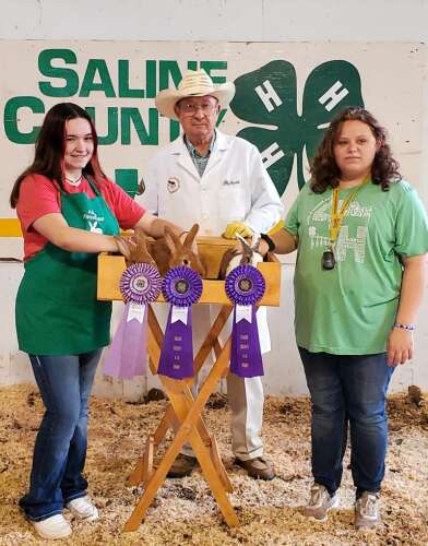4-H members compete at Rabbit Show
