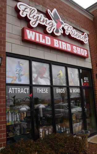 Flying Friends Wild Bird Shop has all your birding needs