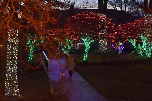 Merry and very bright: Wheaton to light up downtown park with 57,500 bulbs
